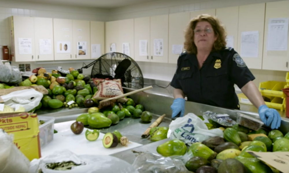 The Ultimate Fate of Your Contraband Airport Food – FlyerTalk - The ...